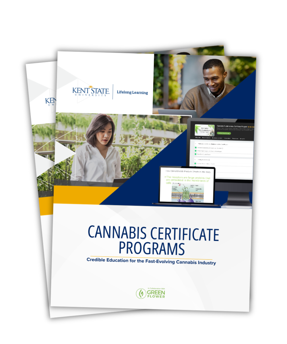 Brochure - Cannabis Studies - Kent State University